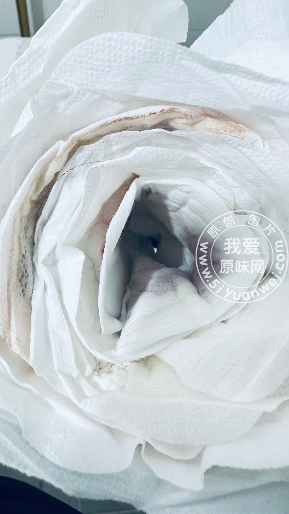 深夜翻垃圾桶 - 原味内裤 - 原味秀